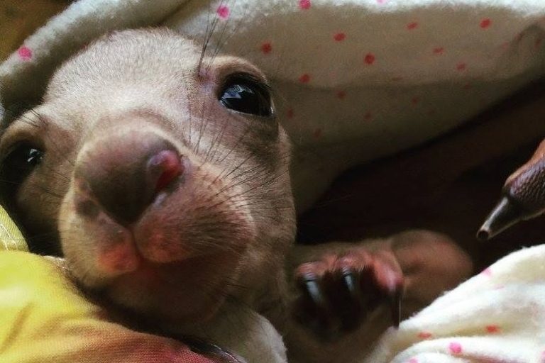 All Files - ARC Craft Guild