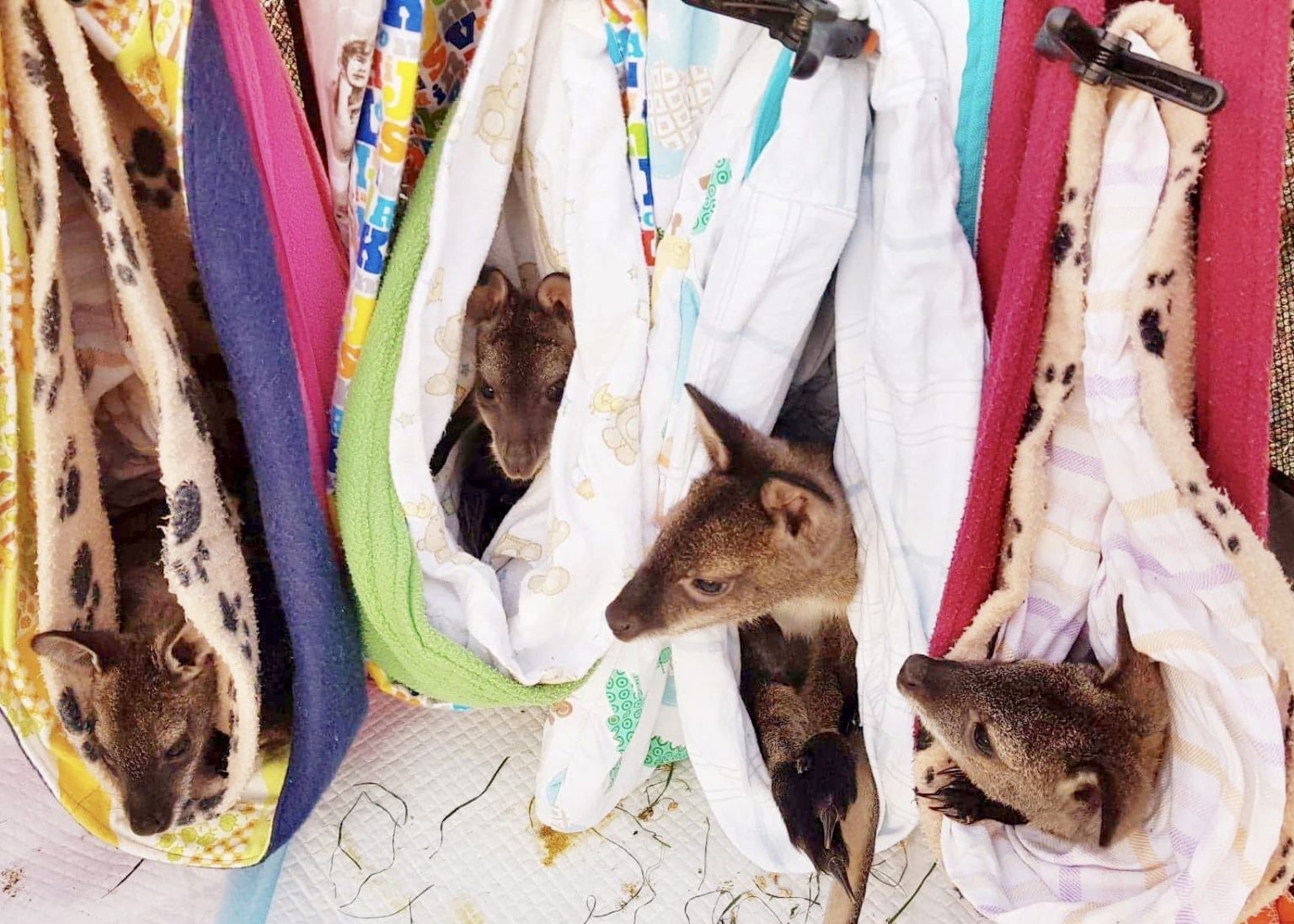 All Files - ARC Craft Guild