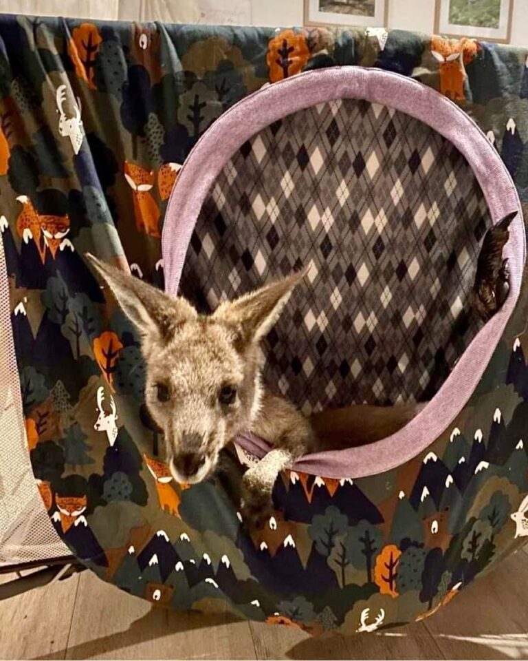 All Files - ARC Craft Guild